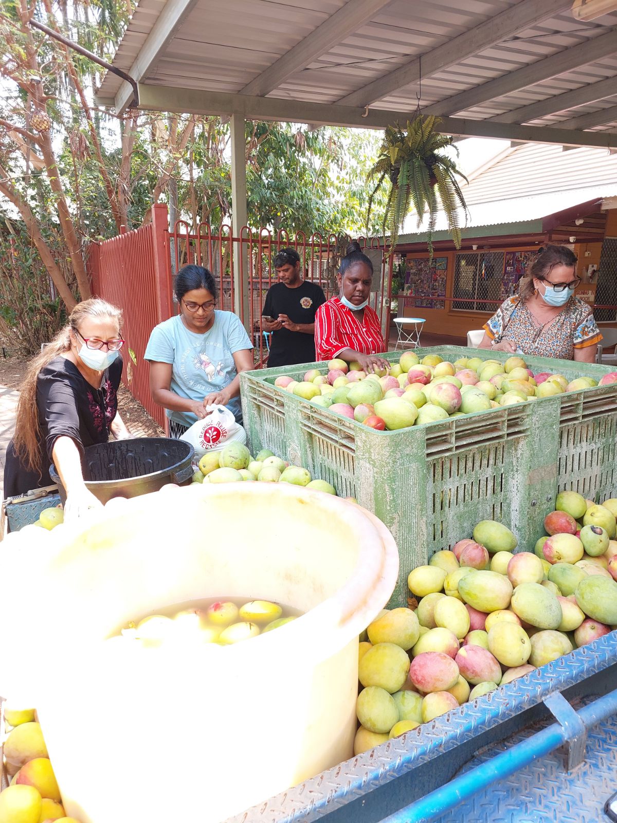 Annual Mango Picking An Incredible Success for Our Aspirants and ...